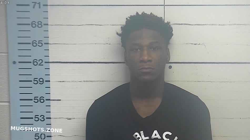 LEE TYER BREJUAN 12/31/2023 - Desoto County Mugshots Zone