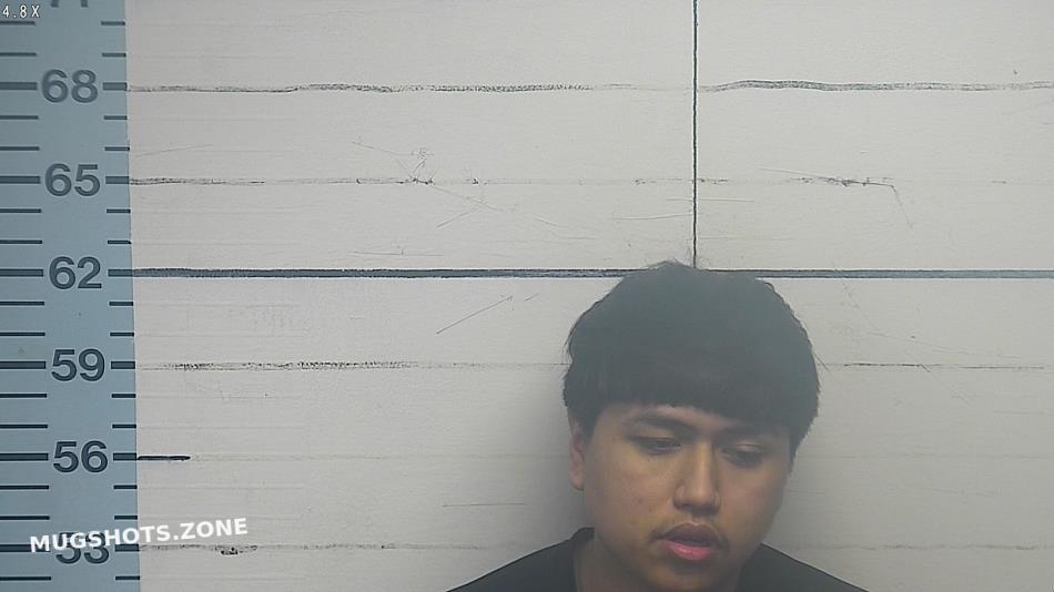 PEREZ DANIEL ESTRADA 01/28/2024 - Desoto County Mugshots Zone
