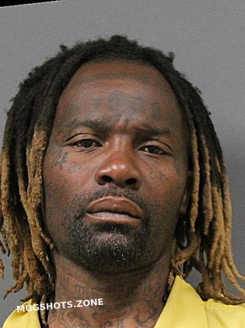 LEWIS BRANT LEON 02/09/2024 - Desoto County Mugshots Zone