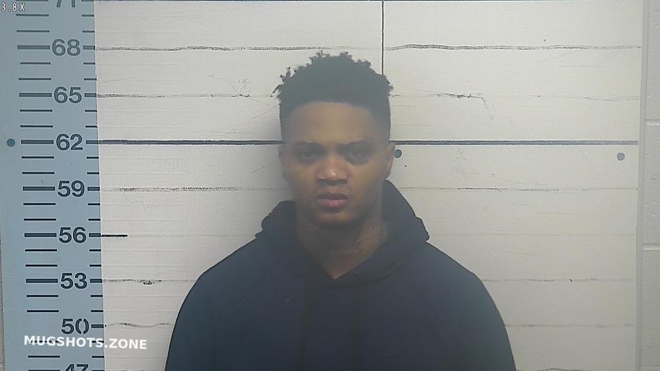 ANDERSON DEANGELO NA 02/14/2024 - Desoto County Mugshots Zone