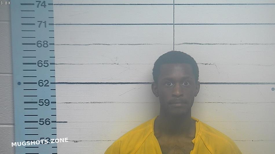 TODD TYRELL L 02/16/2024 - Desoto County Mugshots Zone