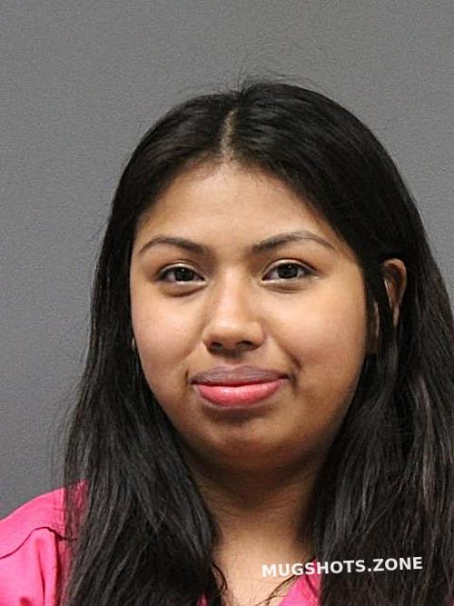 MONTOYA LUZ ELENA 02/23/2024 - Desoto County Mugshots Zone