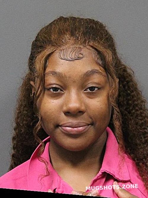 JOHNSON JORDYN L 03/01/2024 - Desoto County Mugshots Zone