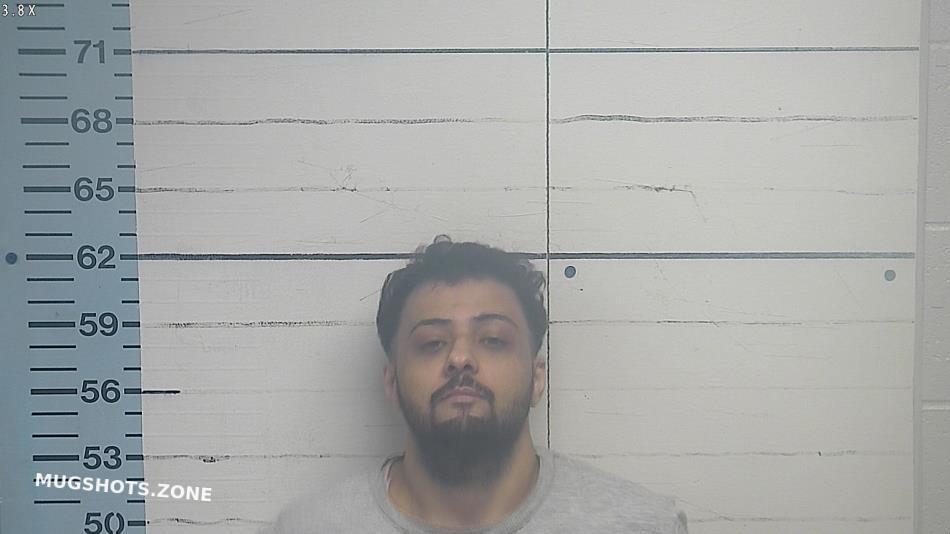 SAYED BASAM 03/11/2024 - Desoto County Mugshots Zone
