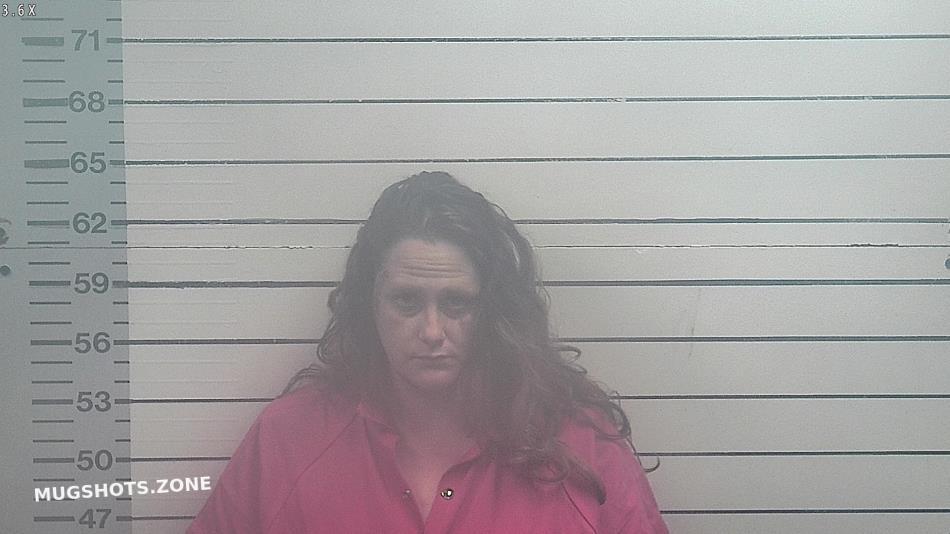 TICE ROBIN M 03/27/2024 - Desoto County Mugshots Zone