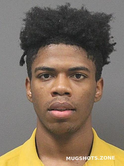 COBB TERRION DEANTREZ 04/19/2024 - Desoto County Mugshots Zone