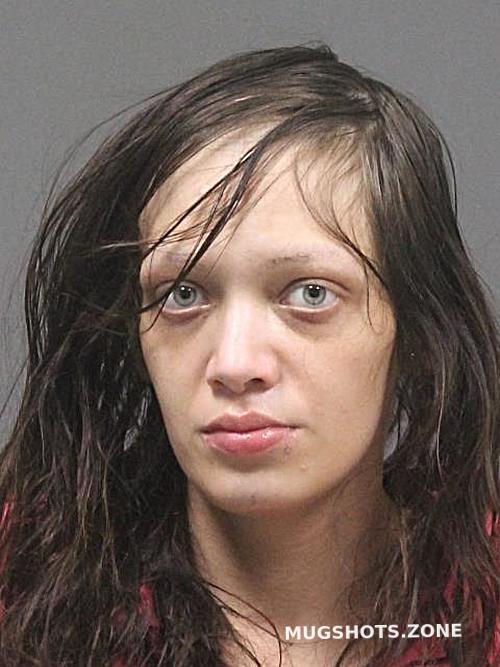 ATKINSON MEGAN ELIZABETH 05/03/2024 - Desoto County Mugshots Zone