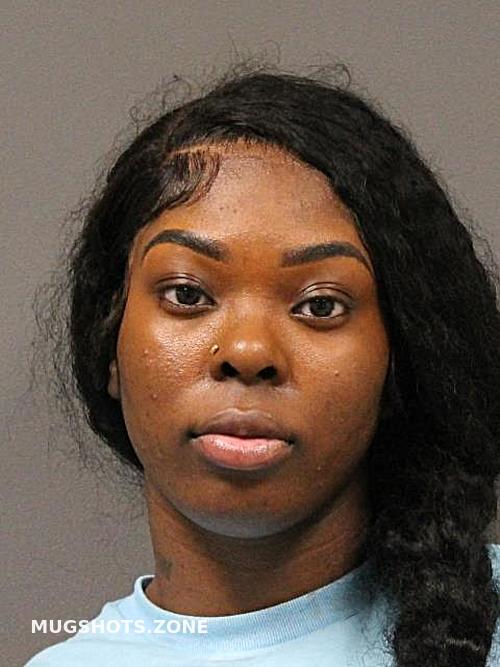 MILLIGAN MERCEDES MARIE 05/19/2024 - Desoto County Mugshots Zone