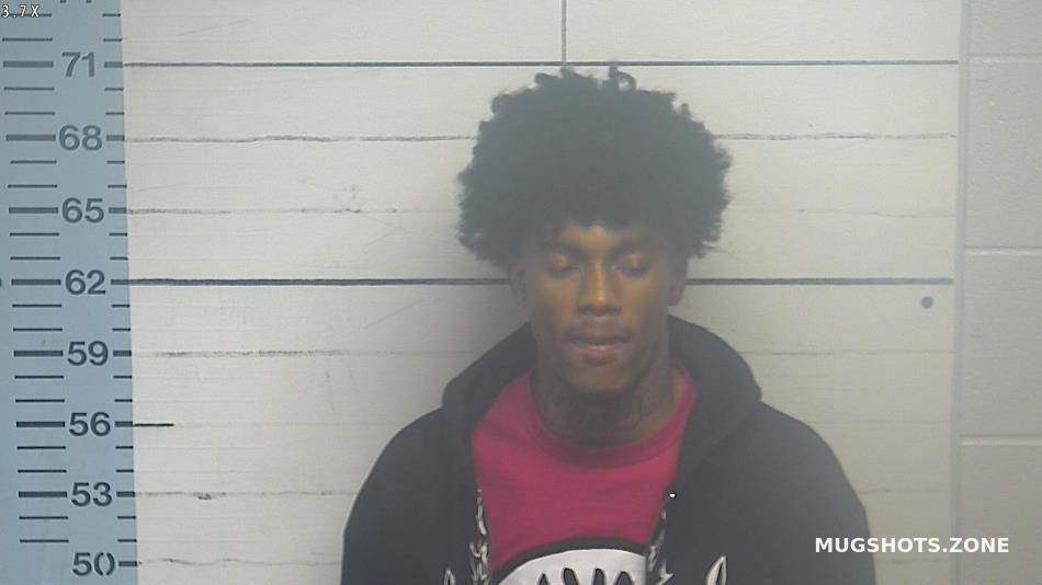 WILLIAMS DAVEON KENTRELL 05/20/2024 - Desoto County Mugshots Zone