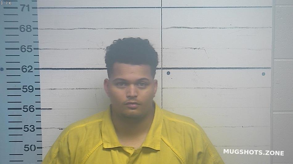 TAYLOR KB AMOS 05/21/2024 - Desoto County Mugshots Zone