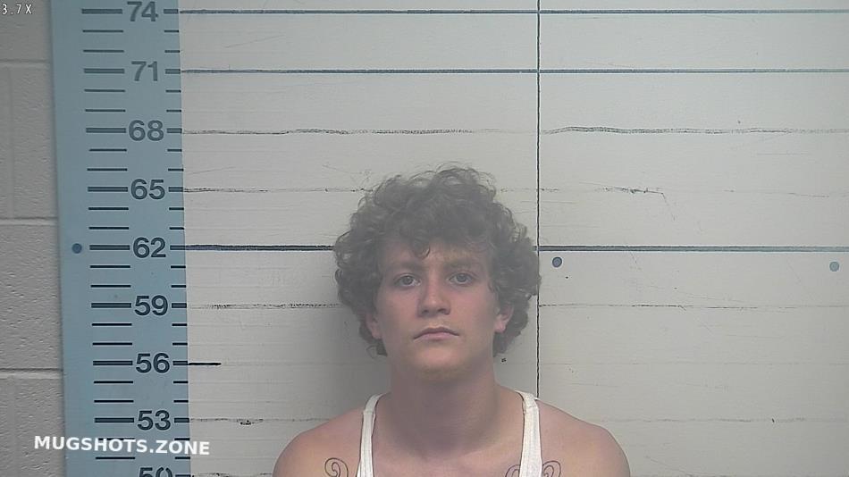 GREEN DEVIN RAY 05/24/2024 - Desoto County Mugshots Zone