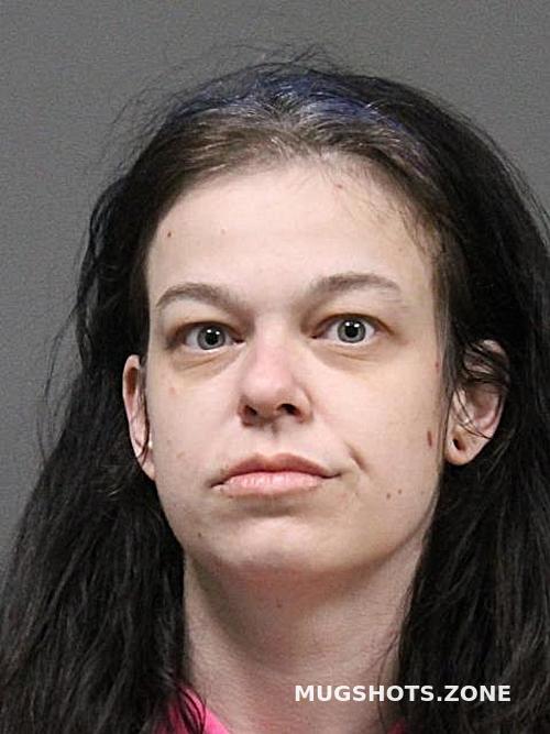 JOHNSON ALLISON NICOLE 06/03/2024 - Desoto County Mugshots Zone