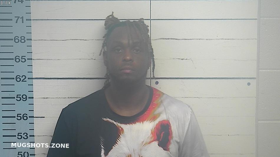 HILL LEVON VERNELL 06/04/2024 - Desoto County Mugshots Zone