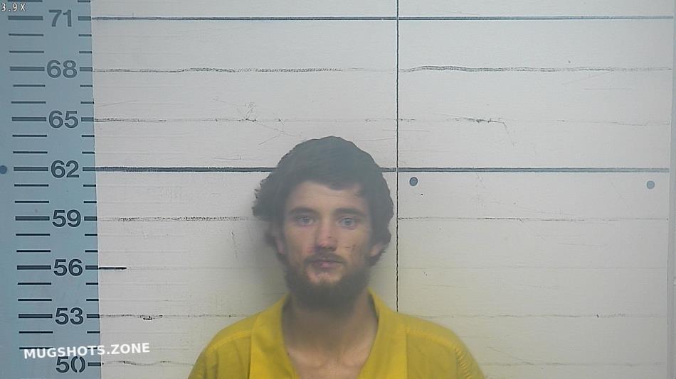 CHENOWETH BRANDON ALLEN 06/17/2024 - Desoto County Mugshots Zone