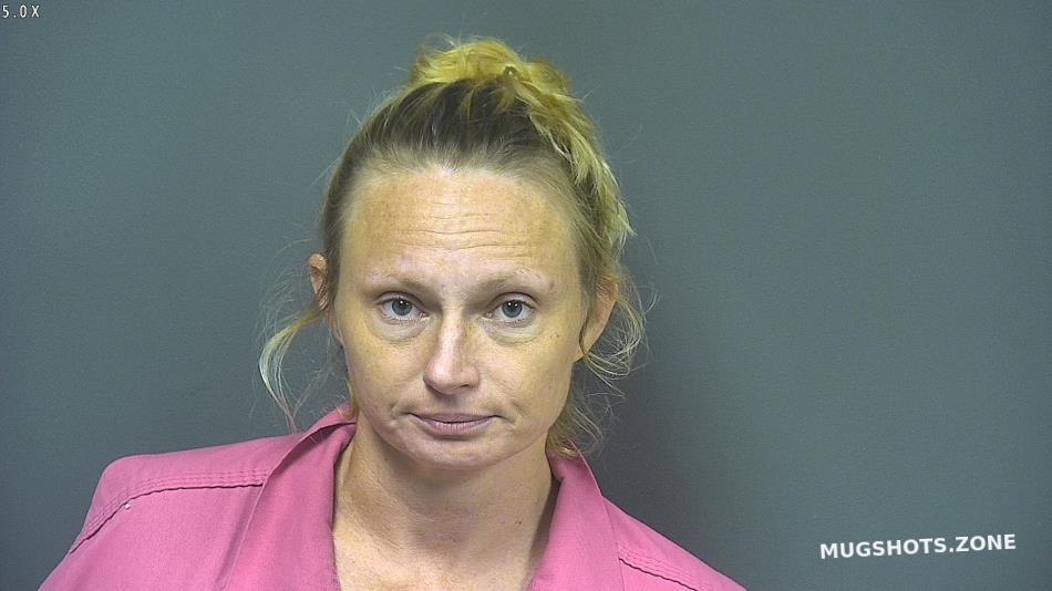 BROCK LONI ERINN 06/20/2024 - Desoto County Mugshots Zone