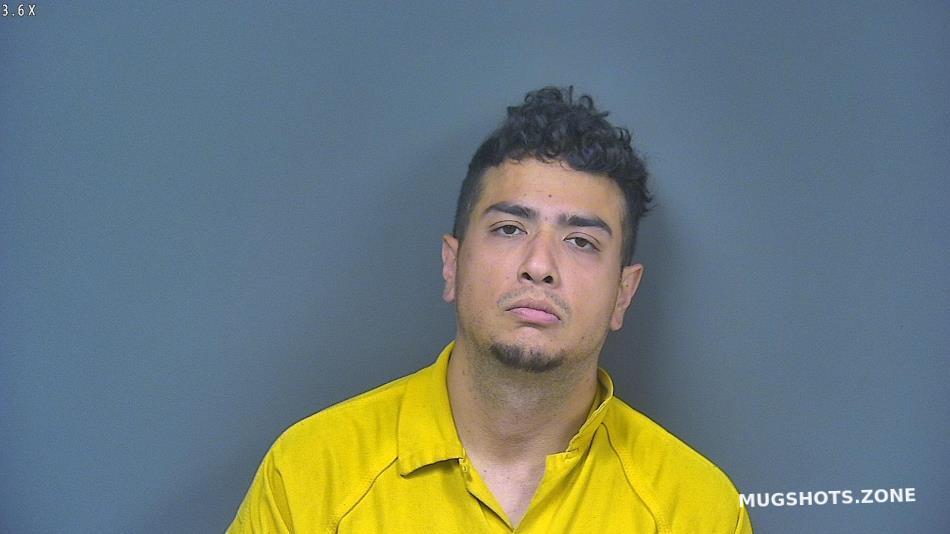 CASTELLANI DANIEL VINCENT 06/20/2024 - Desoto County Mugshots Zone