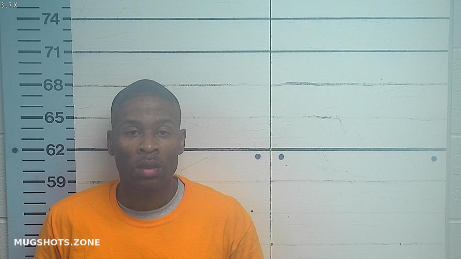 BROWN JEFFREY RYDELL 06/24/2024 - Desoto County Mugshots Zone