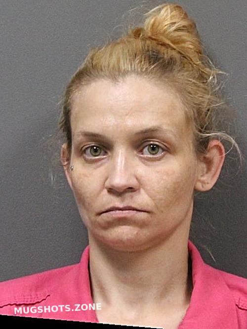 FARMER AMBER JEANINE 06/29/2024 - Desoto County Mugshots Zone