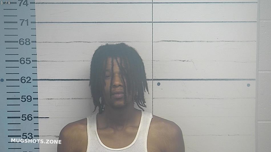 DAVIS ZION C 06/29/2024 - Desoto County Mugshots Zone