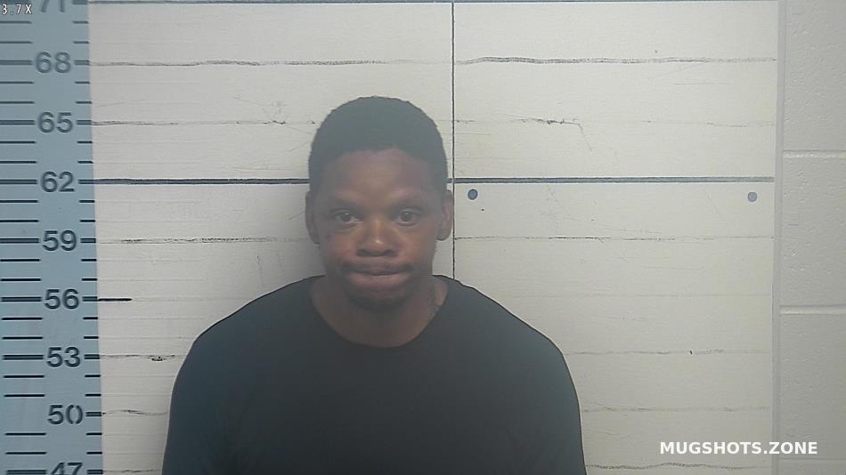 HUNTER TREVAUGHN X 07/01/2024 - Desoto County Mugshots Zone