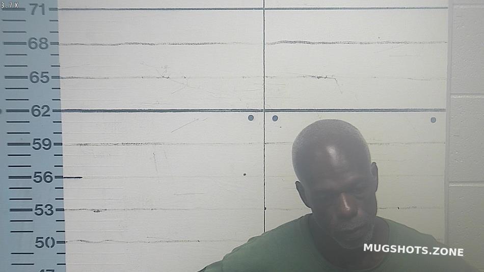 TATE LEO NIKEA 07/22/2024 - Desoto County Mugshots Zone