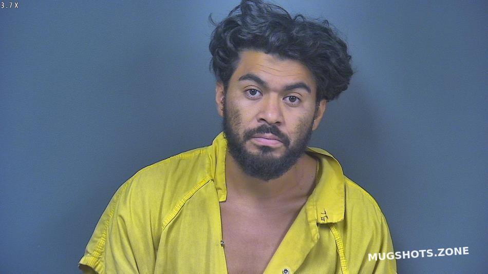 RODOLFO JOSE 07/27/2024 - Desoto County Mugshots Zone