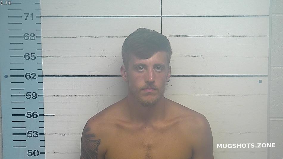 WHITE DYLAN CADE 08/01/2024 - Desoto County Mugshots Zone