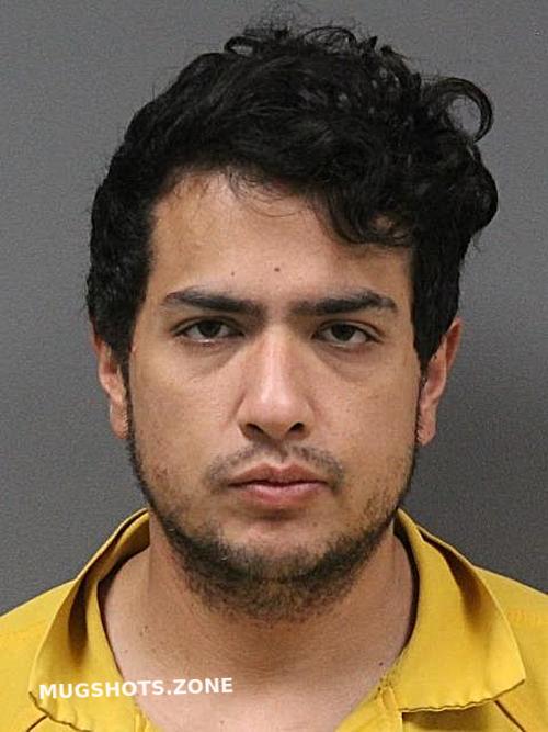 CASTELLANI DANIEL VINCENT 08/14/2024 - Desoto County Mugshots Zone