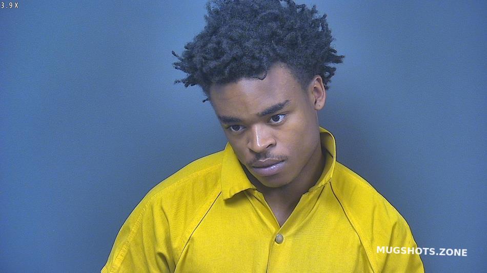 HOLLOWAY TAMARIEN MARTESE 08/24/2024 - Desoto County Mugshots Zone