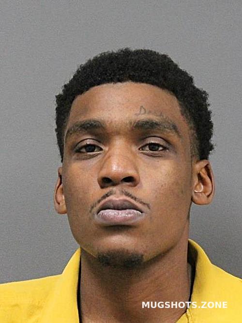 BURSE SHAWN 08/24/2024 - Desoto County Mugshots Zone