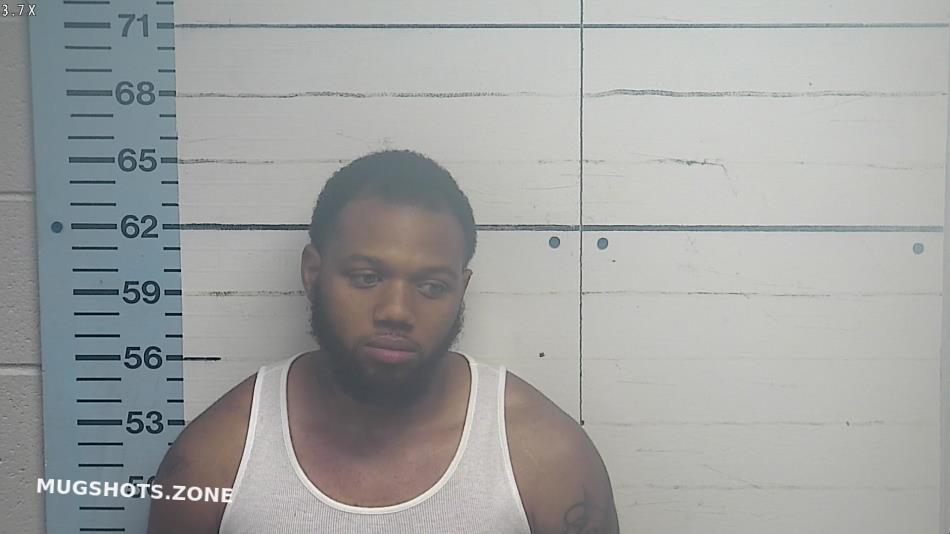 STRINGER MICHAEL P 08/26/2024 - Desoto County Mugshots Zone