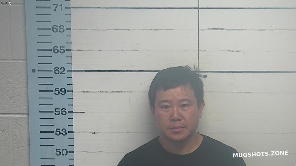 LU XIAN YING 08/29/2024 - Desoto County Mugshots Zone