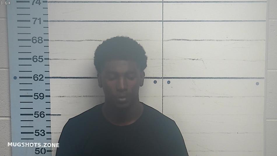HARVEY SAVION DEQUAN-JAMES 09/23/2024 - Desoto County Mugshots Zone