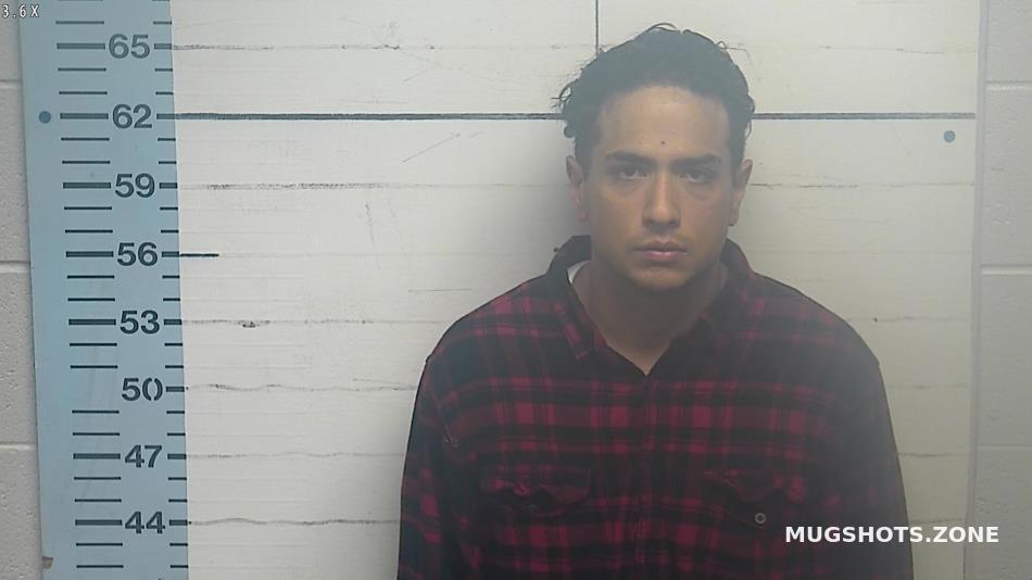 CASTELLANI DANIEL VINCENT 09/28/2024 - Desoto County Mugshots Zone