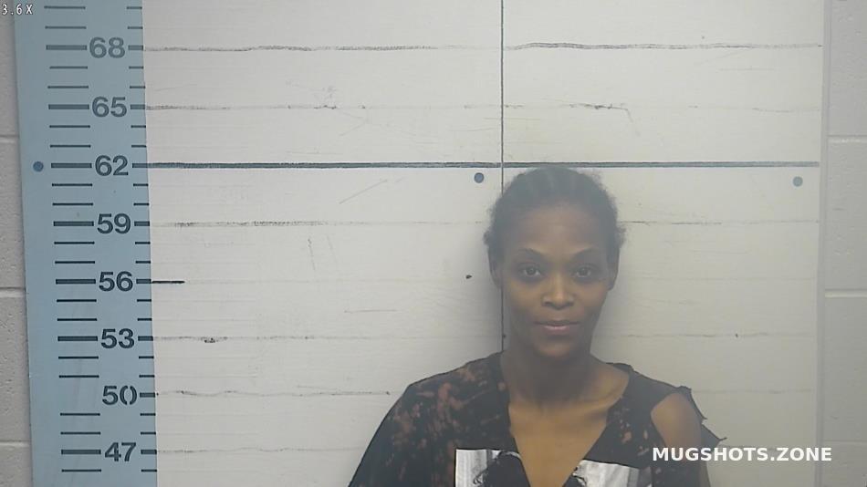 CHAVIS JAMIE N 10/07/2024 - Desoto County Mugshots Zone
