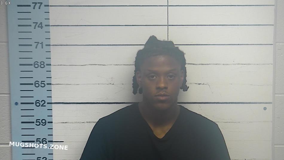 WILLIAMS TERMAINE PASHUN JR 10/08/2024 - Desoto County Mugshots Zone