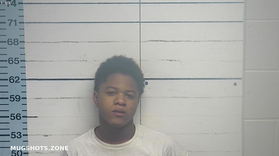 JOHNSON KAMERON DEION 10/15/2024 - Desoto County Mugshots Zone
