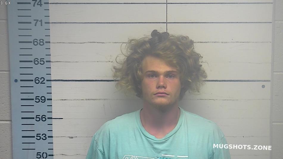 WHITE TYLER ALAN 10/17/2024 - Desoto County Mugshots Zone