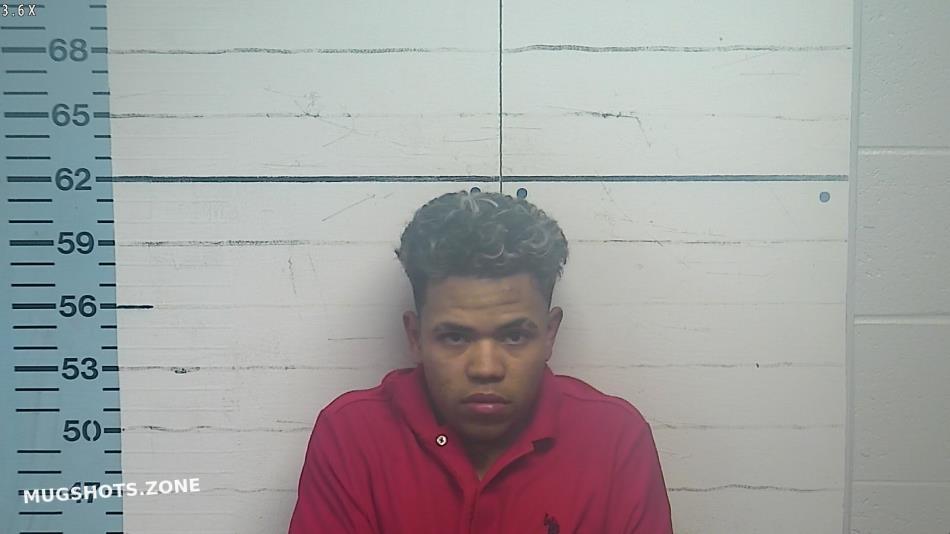 DOE JOHN 10/19/2024 - Desoto County Mugshots Zone