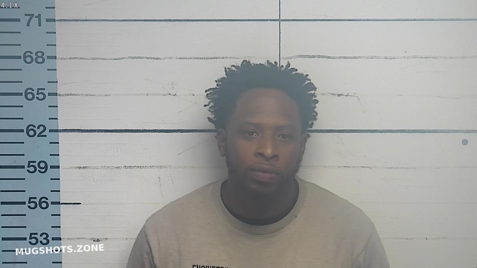 PAIGE DARTEZ RINARDO 10/31/2024 - Desoto County Mugshots Zone