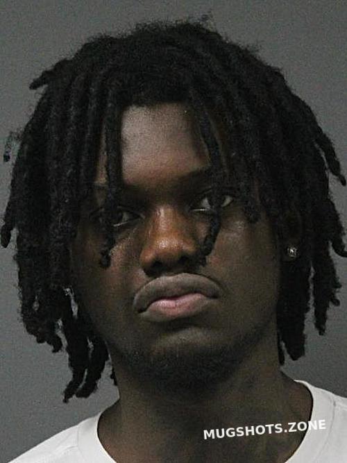 BRYSON DARRELL K 11/06/2024 - Desoto County Mugshots Zone