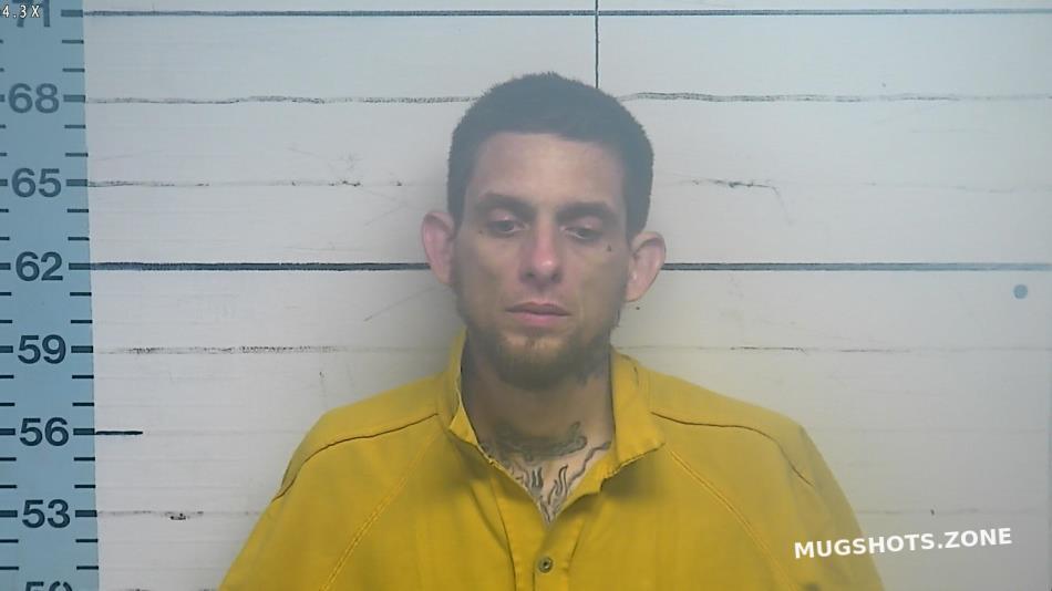 TIPPETT ANTHONY BENTON 11/06/2024 - Desoto County Mugshots Zone