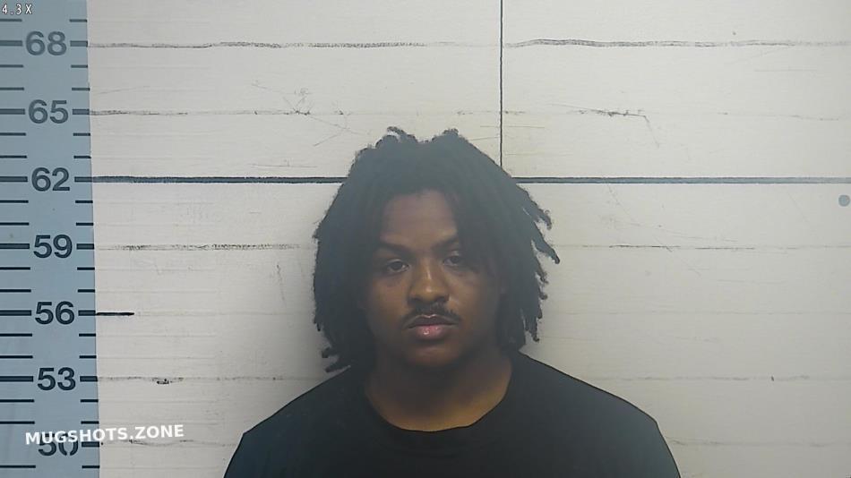 FLEMING TORRIN DEANDRO 11/08/2024 - Desoto County Mugshots Zone