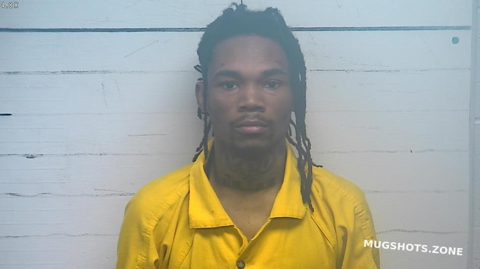 BONNER FREDARIUS DESHUN 11/20/2024 - Desoto County Mugshots Zone