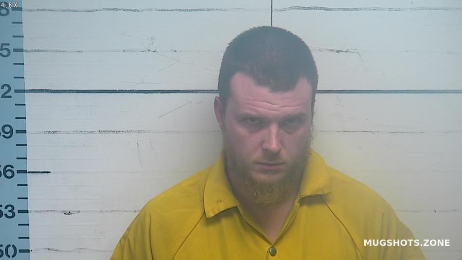 RHOADES TAYLOR DAVID 11/21/2024 - Desoto County Mugshots Zone