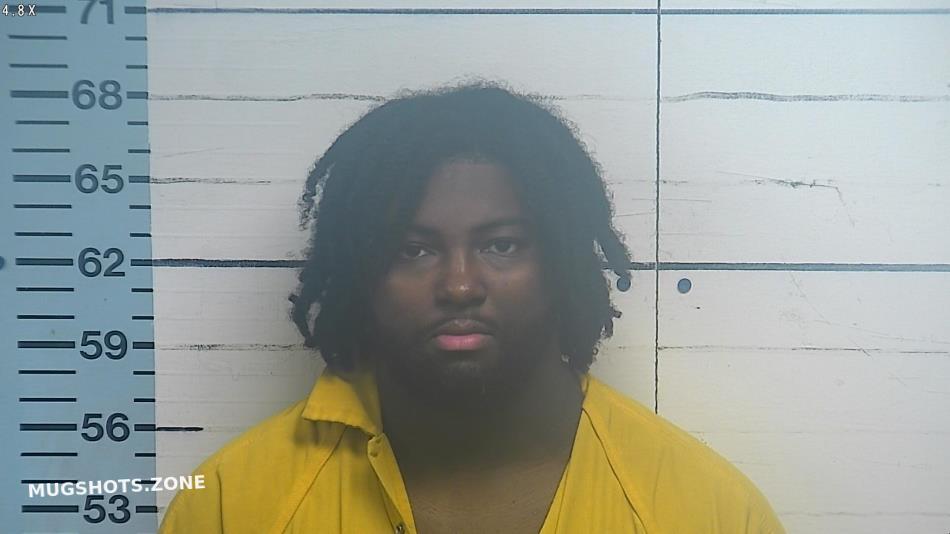 JACKSON EDWARD LEE 11/22/2024 - Desoto County Mugshots Zone