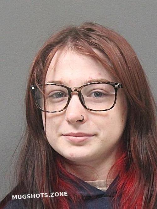 HASKINS NEVAEH HOPE 11/22/2024 - Desoto County Mugshots Zone