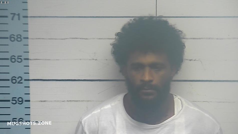 WASHINGTON GEROME RODERICK 11/25/2024 - Desoto County Mugshots Zone