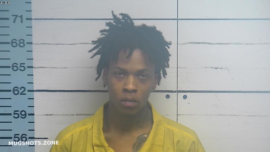 PARROTT MONTARIUS LASHUN 11/26/2024 - Desoto County Mugshots Zone
