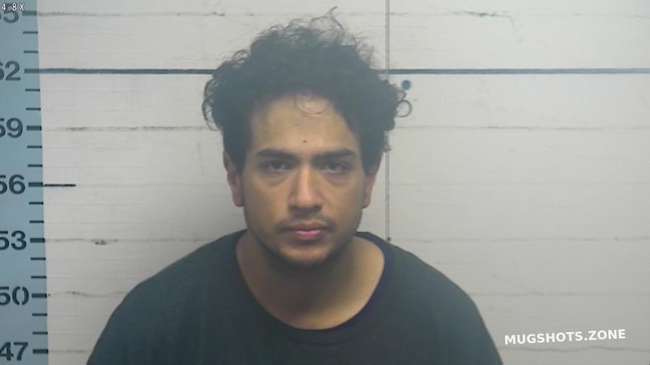 CASTELLANI DANIEL VINCENT 12/10/2024 - Desoto County Mugshots Zone